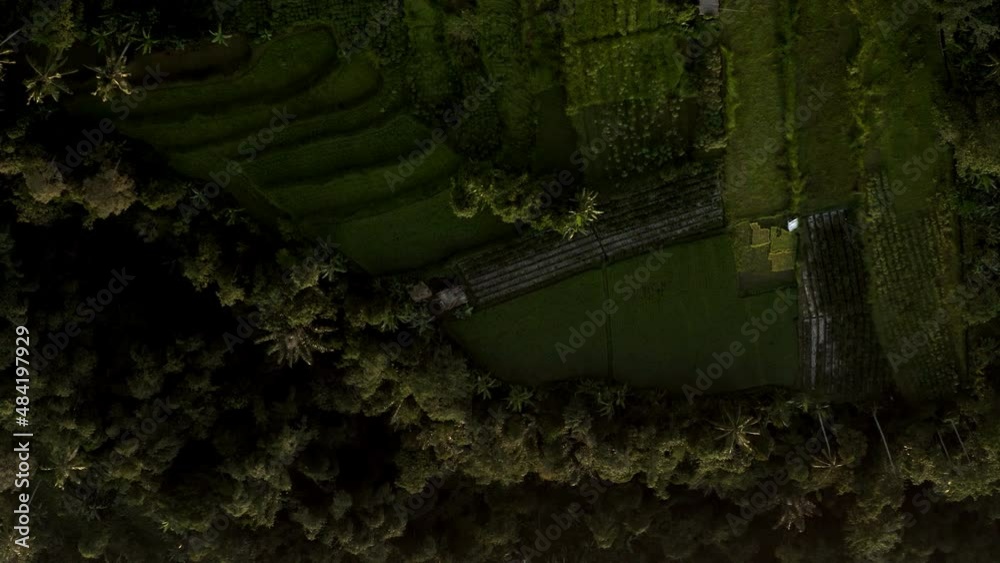 Rice terraces from drone camera. Amazing rice terraces on traditional ...