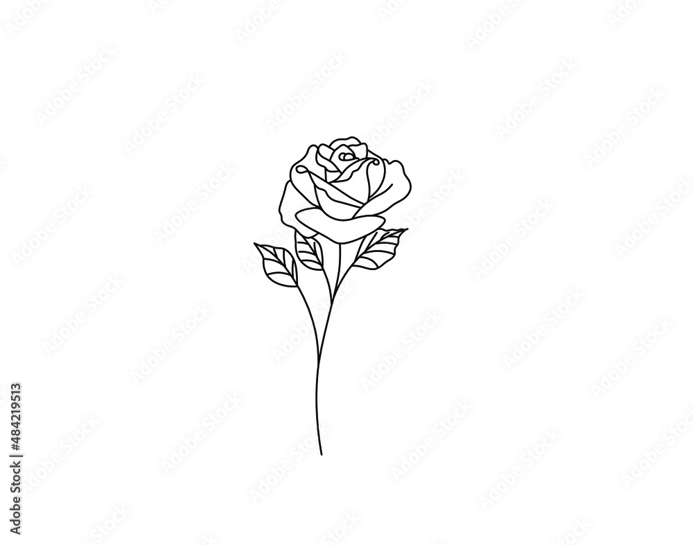 Vector isolated single rose branch colorless black and white contour ...