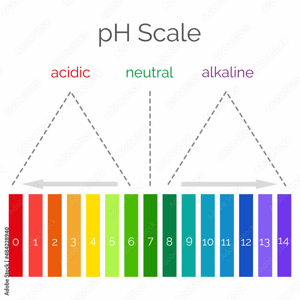 Horizontal pH scale for measuring acid alkaline balance. Chemical value ...