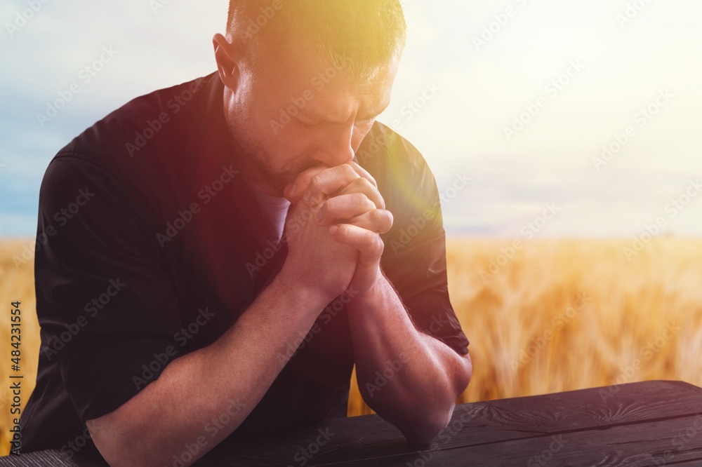 Human praying on the holy bible in a field during beautiful sunset ...