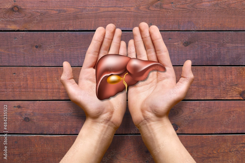 Foto de Human hands holding healthy liver shape on desk background. do ...