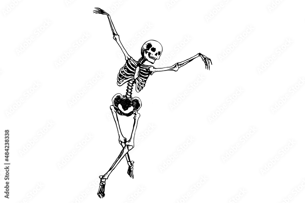Human skeleton movement isolated on white background Stock Vector ...