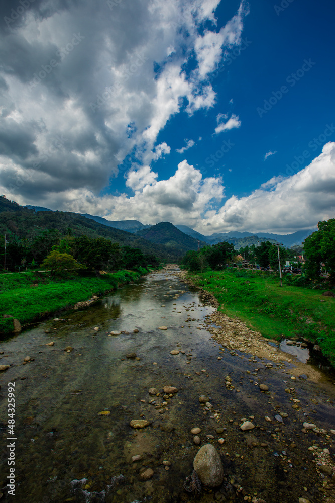 Panoramic nature background (mountains, sea, trees, twilight lights in ...