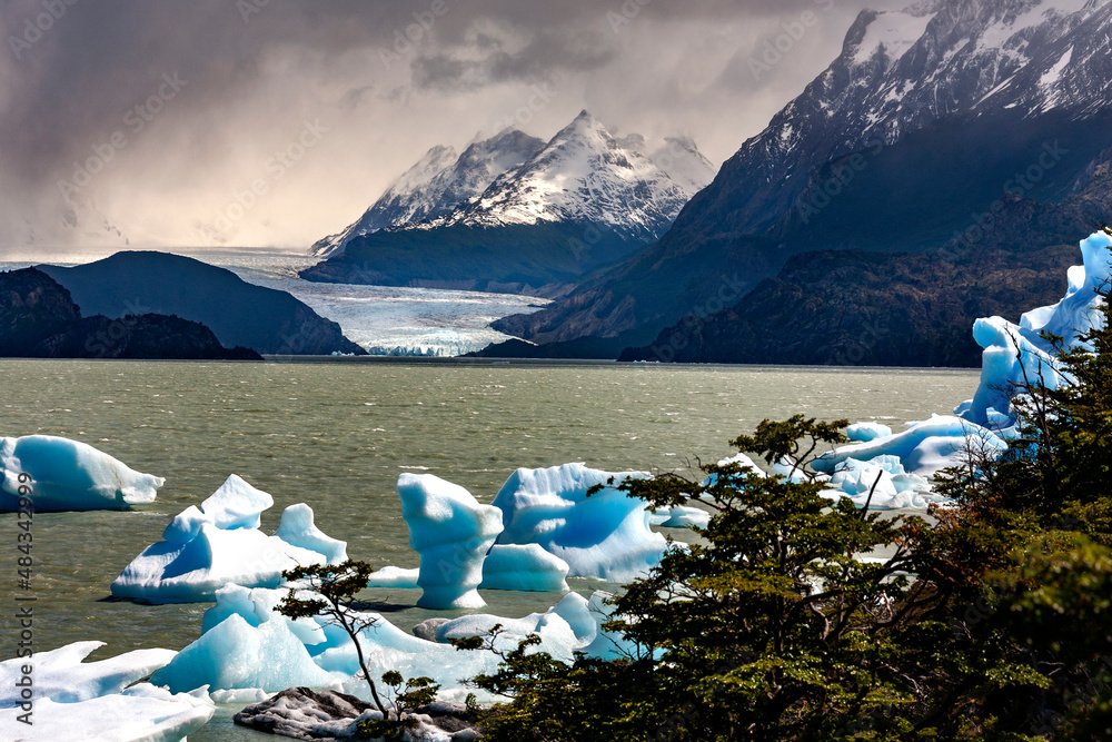 Icebergs from the Grey Glacier floating in Largo Grey in Torres del ...