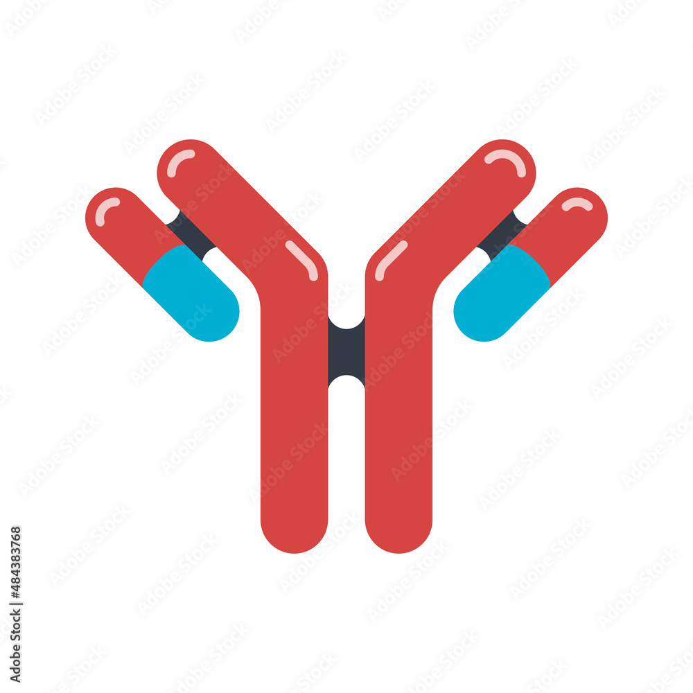 Antibody icon. Types of antibodies and immunoglobulin structures. IgE ...