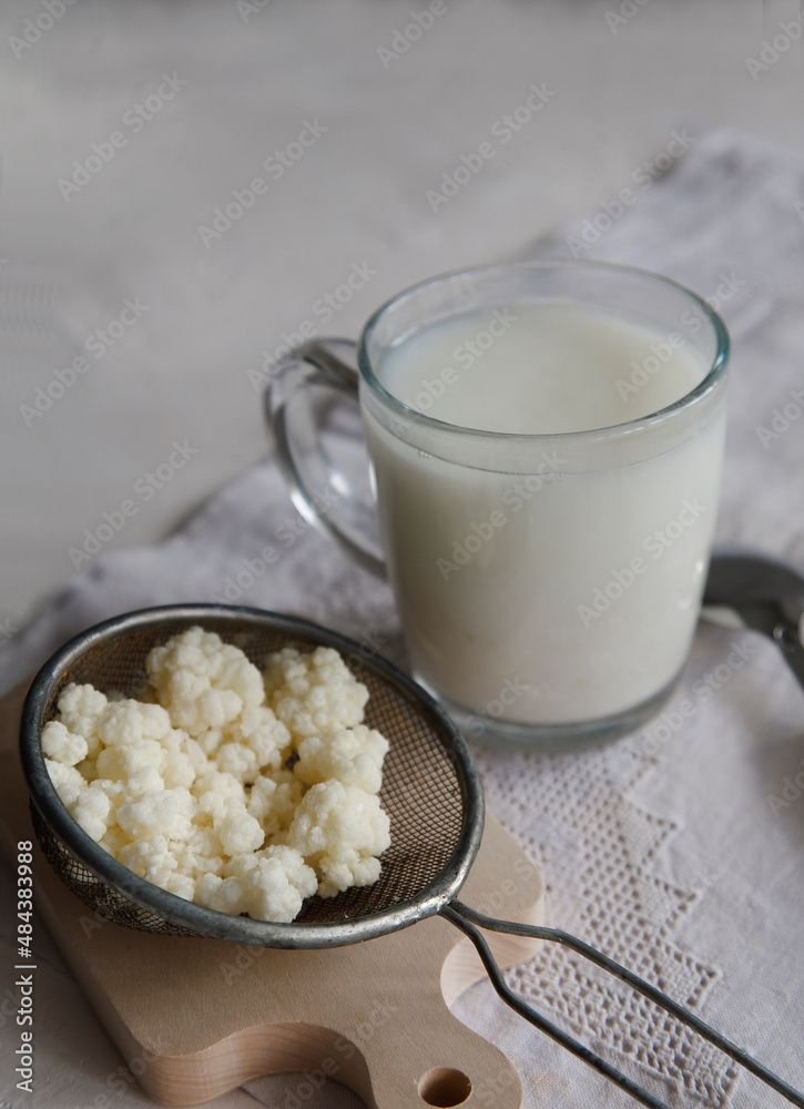 Milk kefir grains in a strainer with a cup of kefir on white table ...