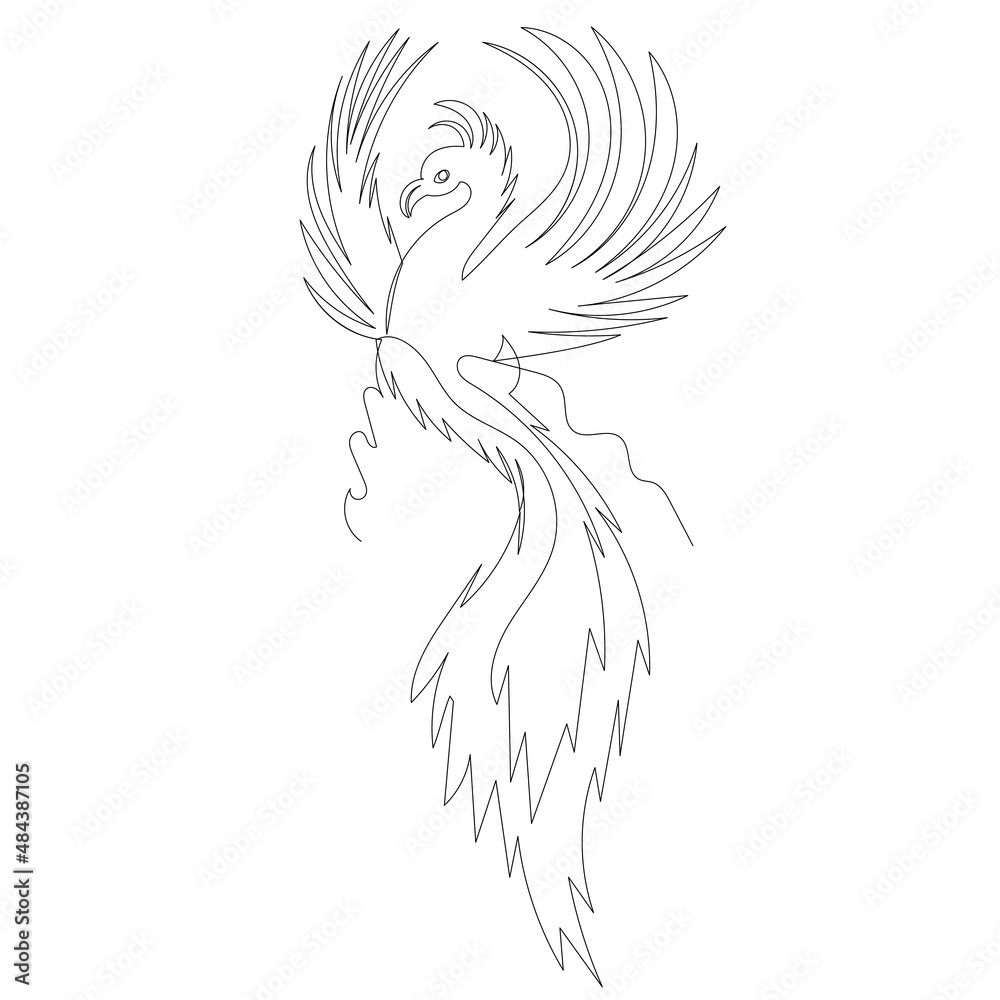 phoenix bird, firebird one line drawing ,vector, isolated Stock Vector ...