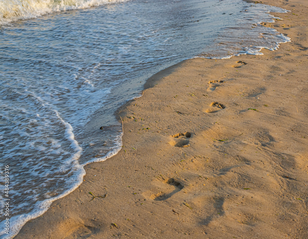 Footprints of a man on the yellow beach sand from walking barefoot by ...
