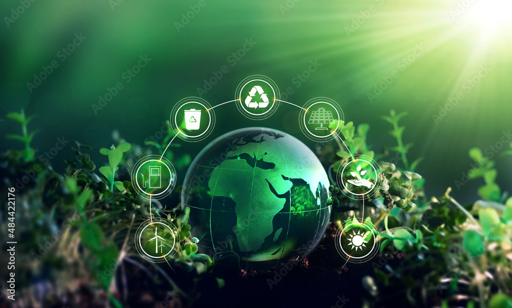 Sources for renewable, sustainable development. Environment,ecology and ...