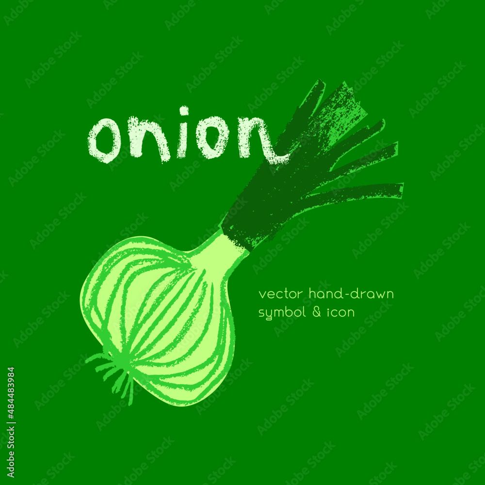 Vector bulb onion icon. Pencil hand-drawn texture. Green bulb leek ...
