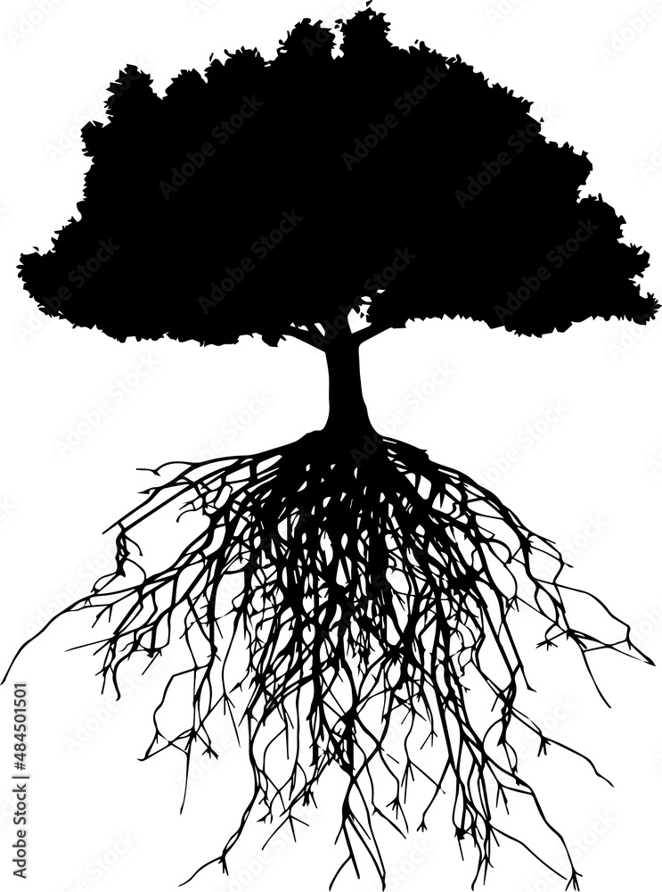 Tree With Roots Silhouettes Tree With Roots SVG EPS PNG Stock Vector ...