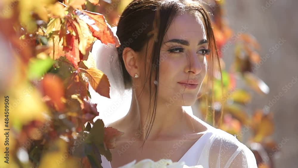 Beautiful bride on a background of sunlight in a yellow leaf. Beautiful ...