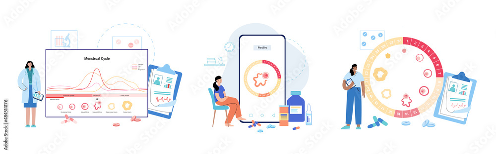Menstrual cycle diagram. Stock Vector | Adobe Stock