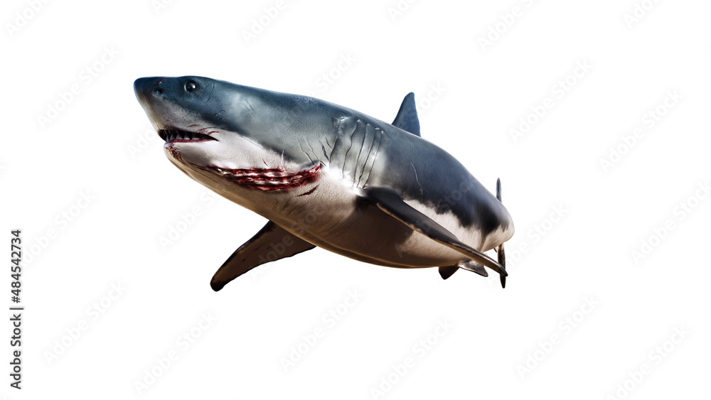 Great white shark giant body sea monster, scary side view 3d rendering ...