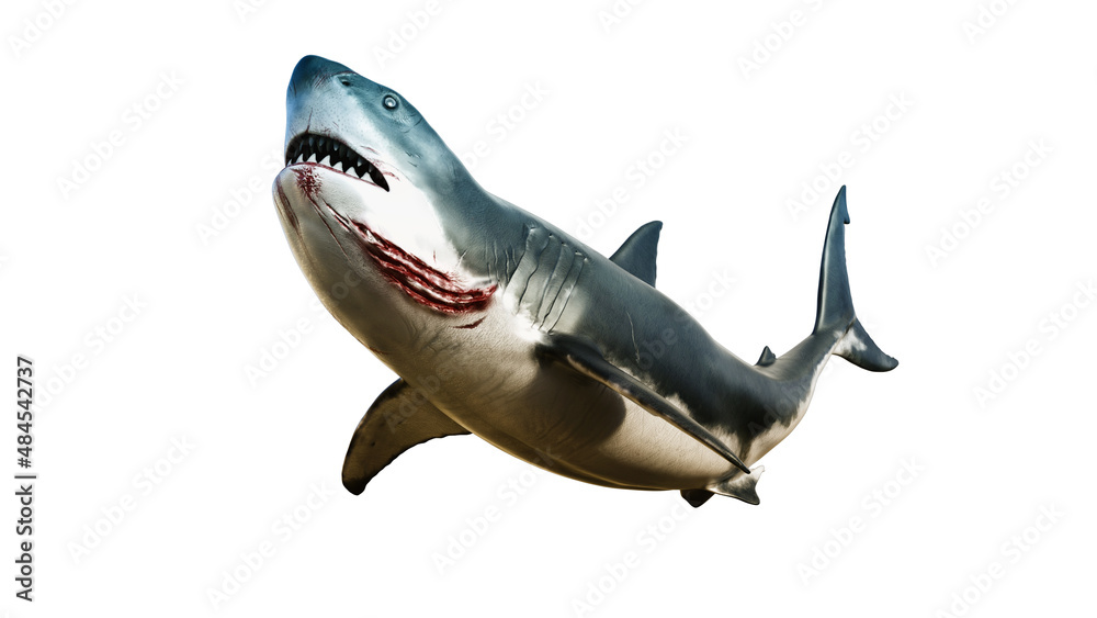Great white shark giant body sea monster, scary side view 3d rendering ...