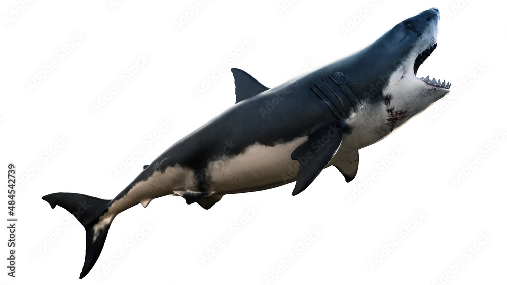Great white shark giant body sea monster, scary side view 3d rendering ...