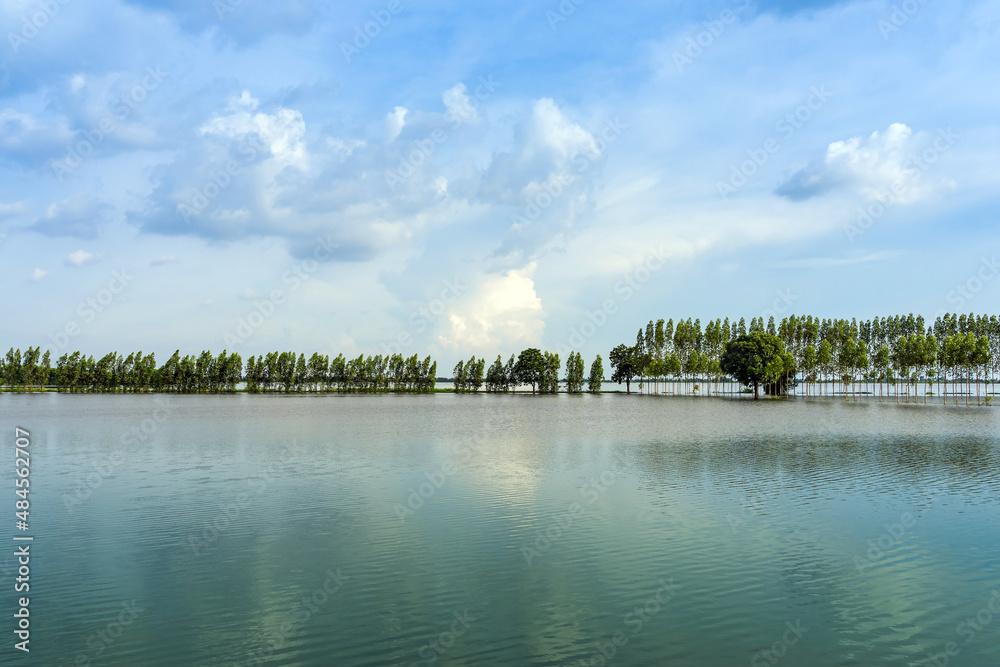 Scenic view of traditional flooded fields like a still lake on floating ...