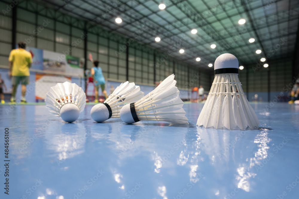 badminton ball on the court used in competition Stock Photo | Adobe Stock