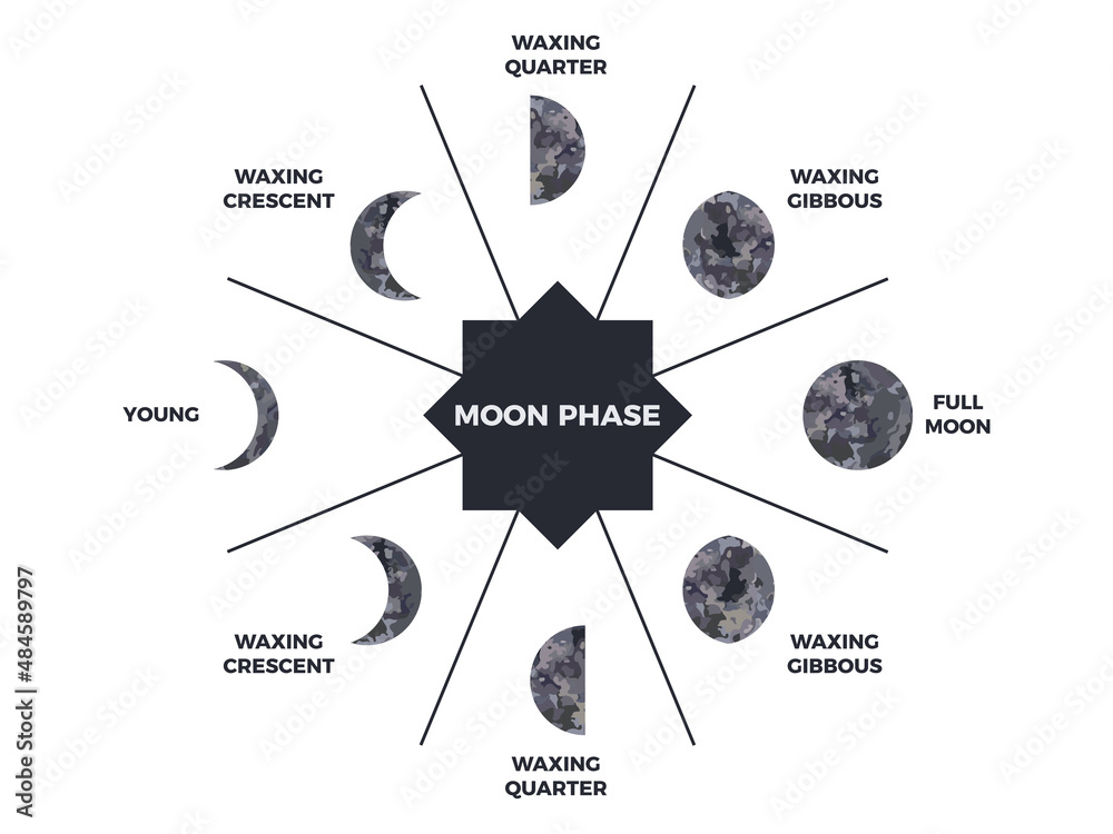 Moon phase. Textured surface of the moon. Lunar phases throughout the ...