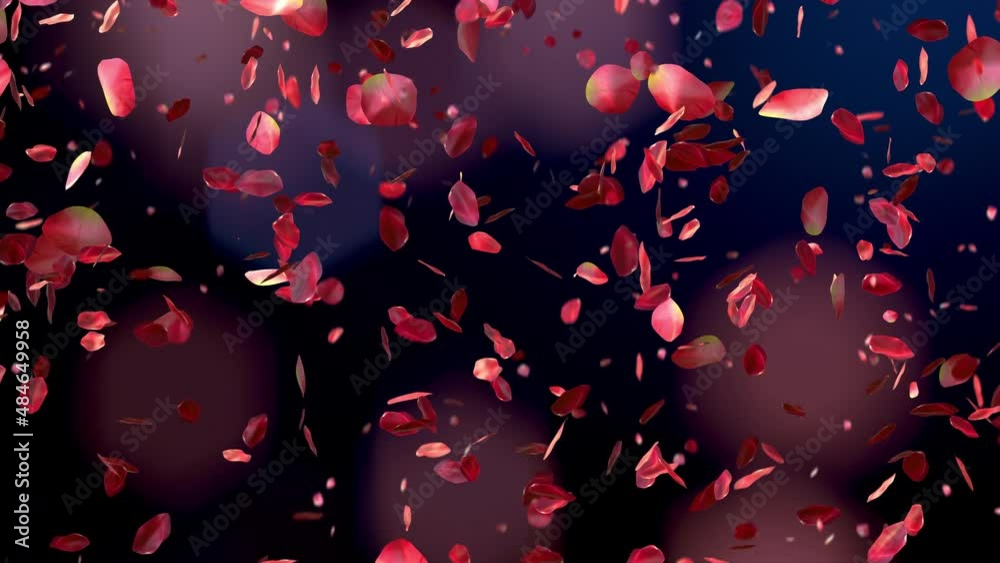 Red rose petals falling on beautiful black background. Valentines day ...