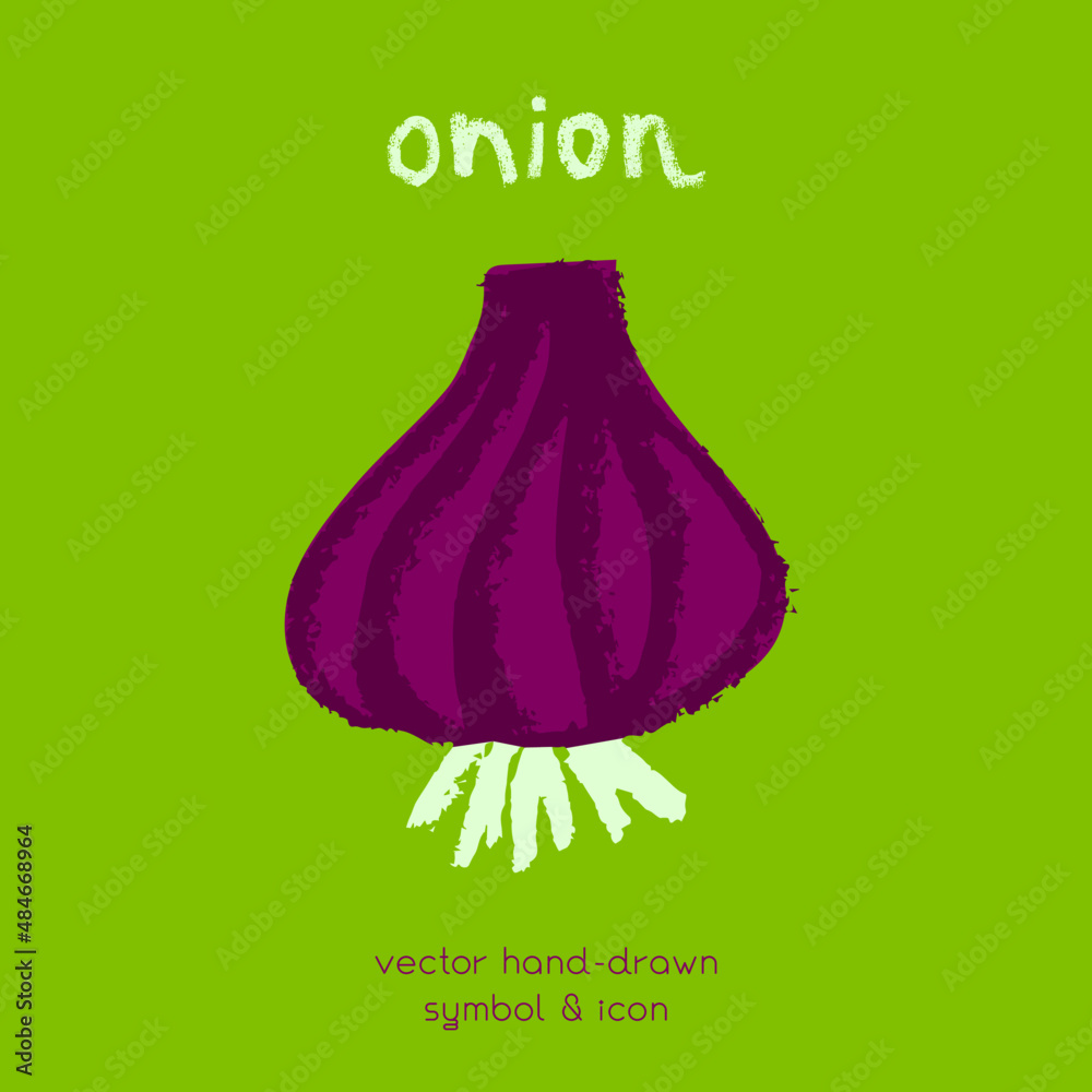 Vector bulb onion icon. Pencil hand-drawn texture. Green bulb leek ...