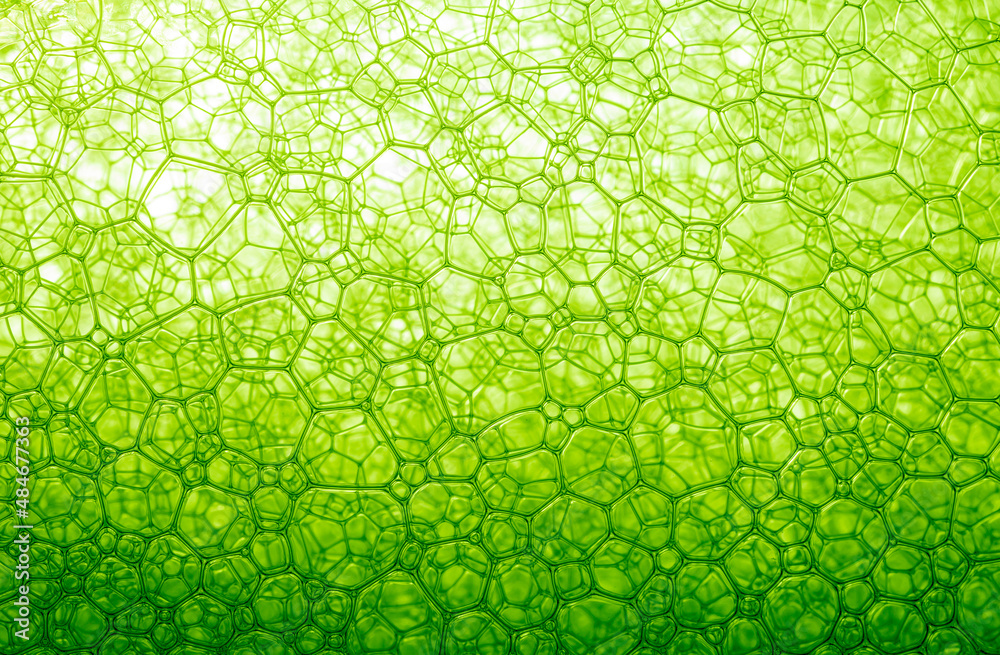 The close distance of the green bubble,Bubble, DNA, Drop, Liquid ...