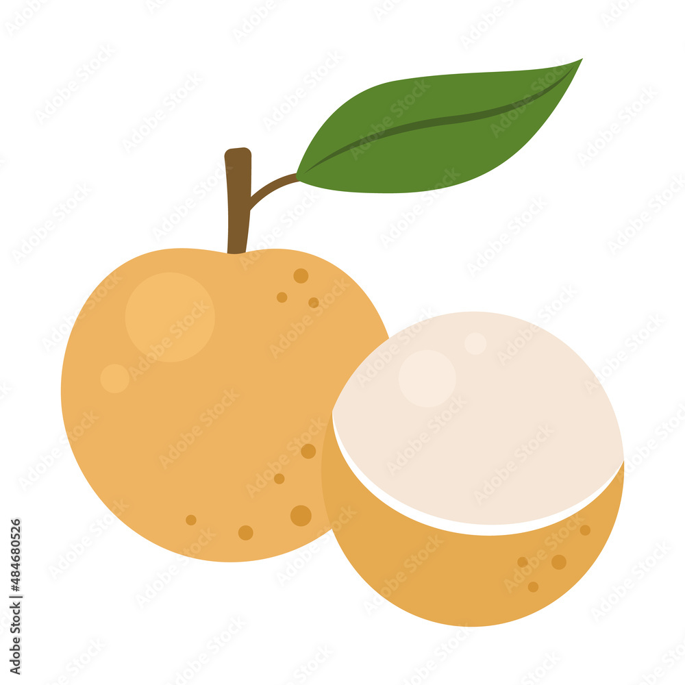 Longan whole fruit and half sliced isolated on white background ...