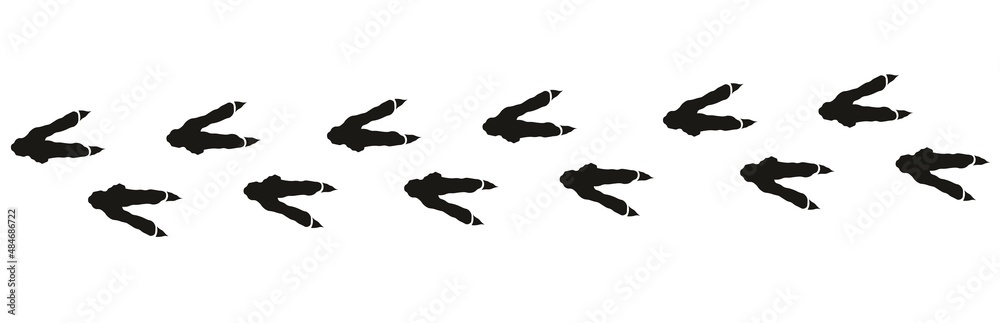 Dinosaur velociraptor footprint steps straight ahead Stock Vector ...