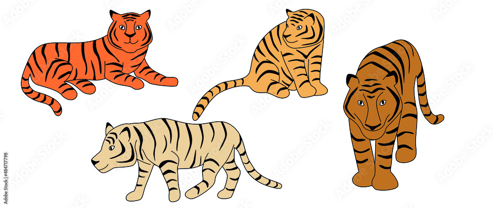 Tiger vector set. Cartoon Tiger characters design collection with flat ...