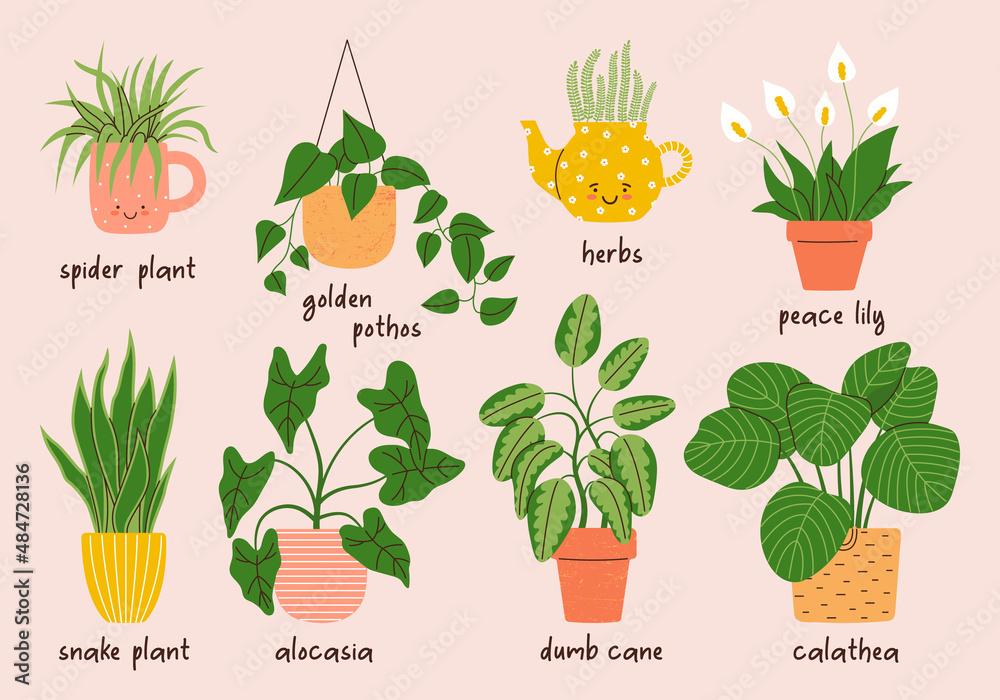 Cute hand drawn home potted plants collection. Urban jungle interior ...
