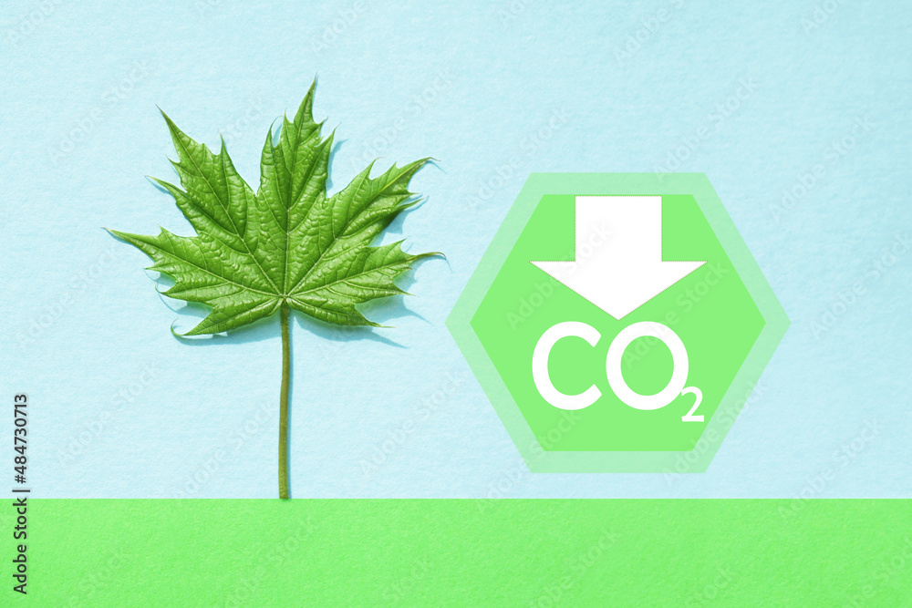 Decarbonization of Real Estate. Lower CO2 emissions and reduce carbon ...