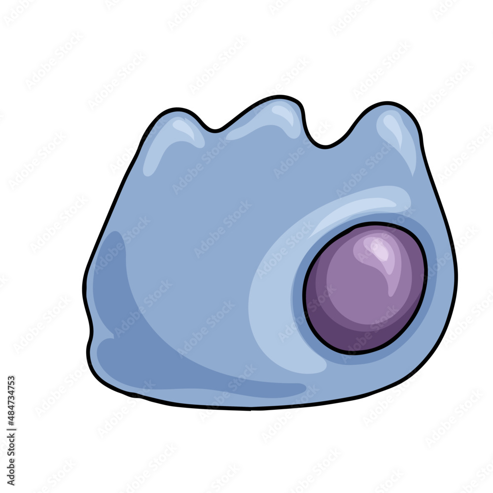 Simple Enterocyte Cell Biology, Detailed Vector Illustration of ...