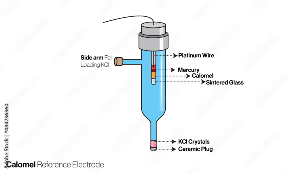 Precision in Electrochemistry Exploring Calomel Reference Electrode in ...
