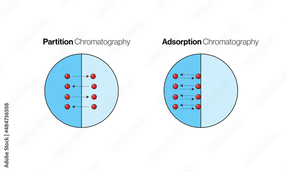 adsorption and absorption mechanism illustration in white background ...
