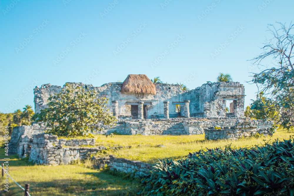 Asombrosa foto de una ruinas mayas en medio de la selva ภาพถ่ายสต็อก ...