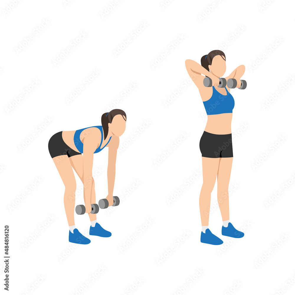 Woman doing deadlift upright row exercise. Flat vector illustration ...