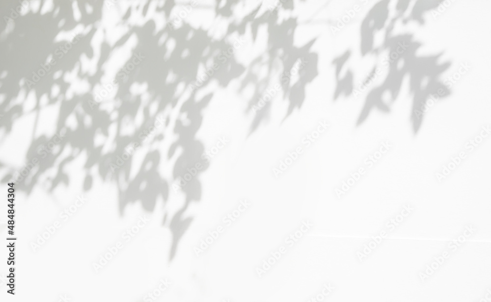 Leaf shadow and light on wall blur background. Nature tropical leaves ...