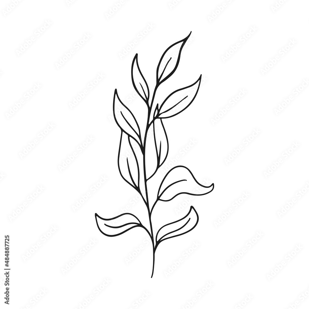 Herbs icon vector set. herbarium illustration sign collection. herb ...
