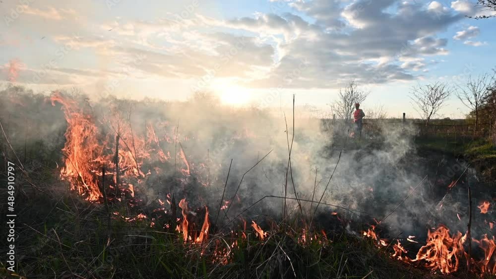 Video Stock Field with fire, burning dry grass, smoke and ashes under ...