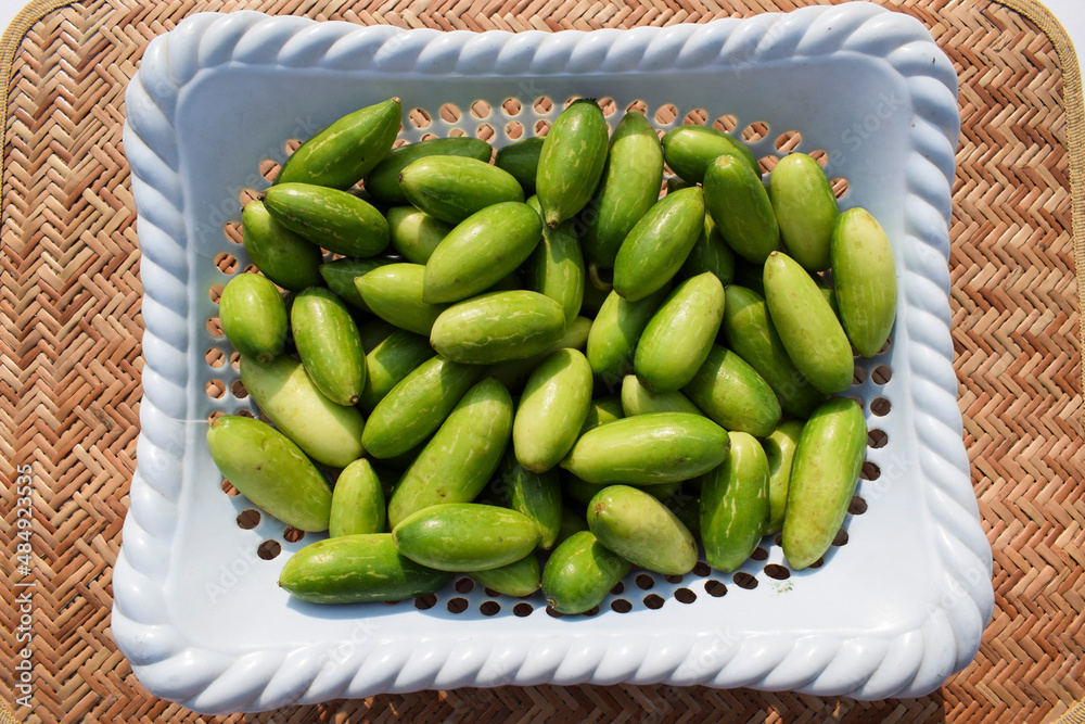 Ivy gourd or scarlet gourds known as Tindora or Ghola, green vegetables ...