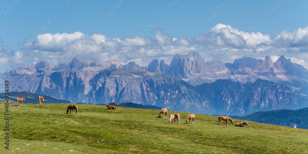 Südtirol - Pferdeherde auf Meran 2000 mit Blick in die Dolomiten Stock ...