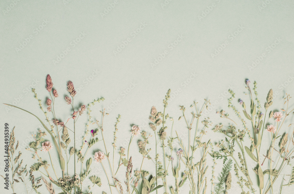 different wild flowers on paper background Stock Photo | Adobe Stock