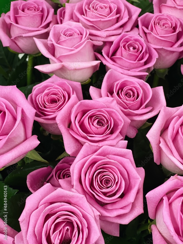 Pretty Pink Flowers Tumblr