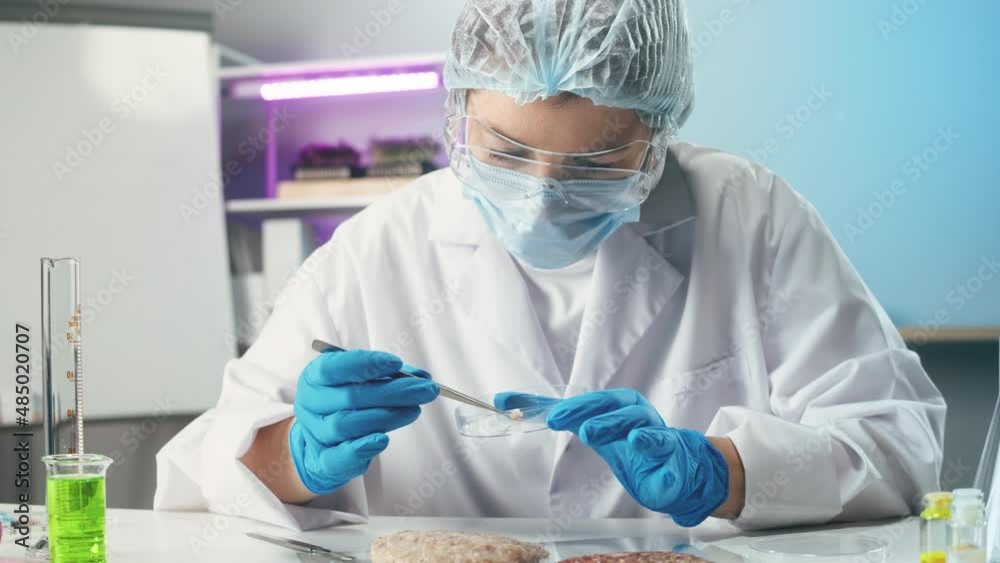 Medical scientist inspecting minced vegan meat, wearing protective ...