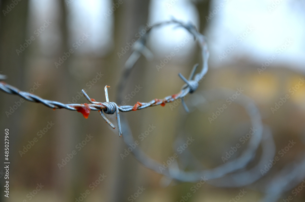 beyond the barbed wire-covered border, people without personal freedom ...