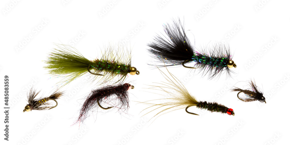 Side view of an assortment of fly fishing trout flies on a white ...