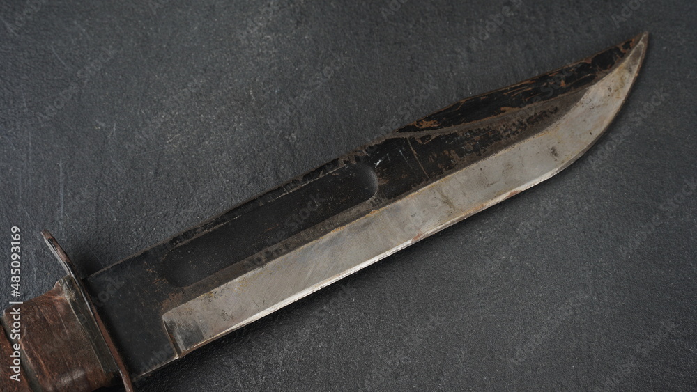 Combat tactical stainless steel fighting knife, leather handle ...