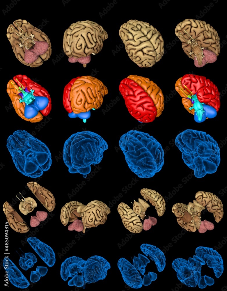 100 megapixels set - human brain with xray examination style image and ...