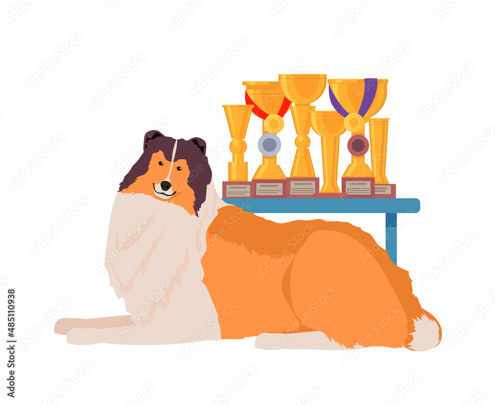 Hairy Collie dog resting near to her awards, medals and cups. Pet ...