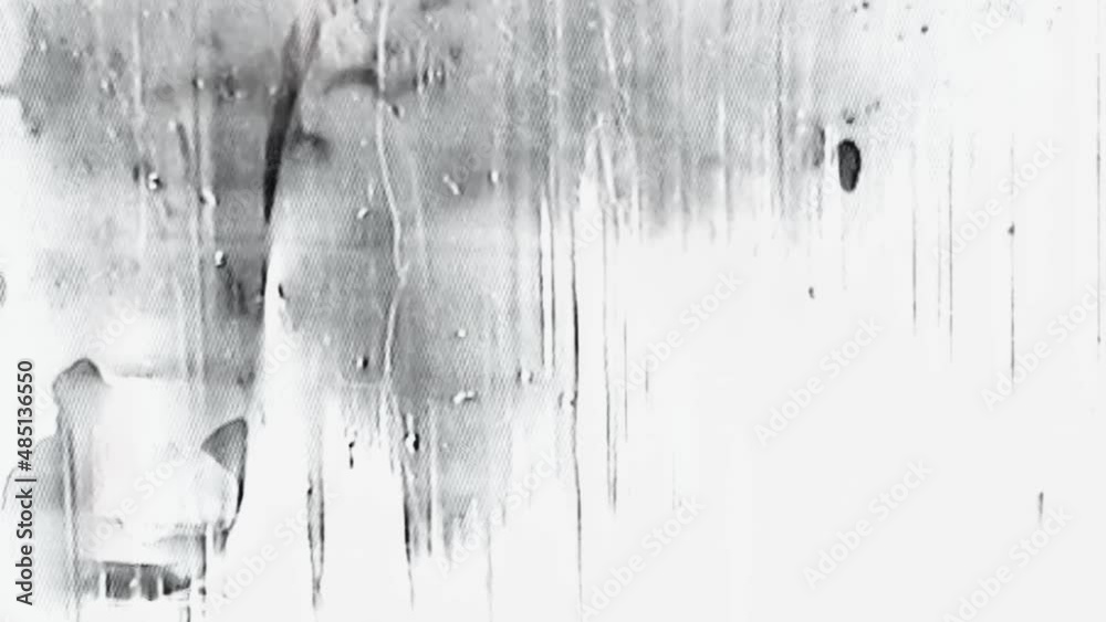 Glitch distortion. Grunge overlay. Signal interference. Black and white ...